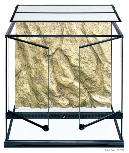 Exo Terra Glass Terrarium – 24in x 18in x 24in – countryfishgirl